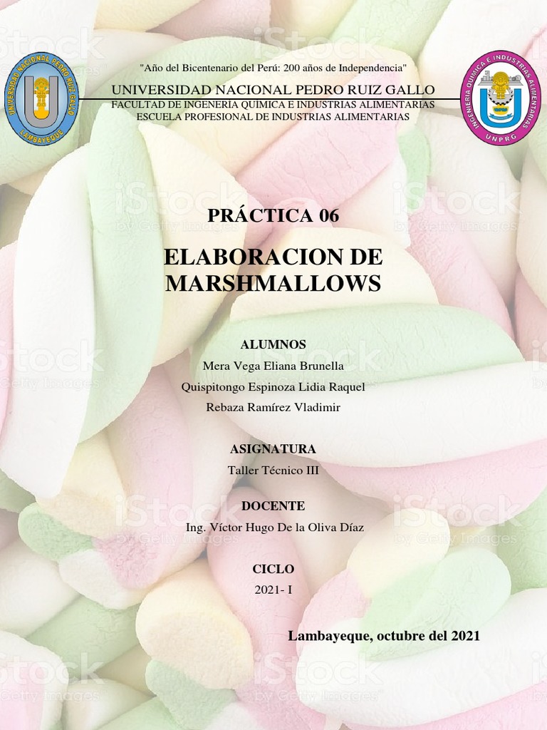 Practica N°6 Elaboracion de Marshmallows | PDF