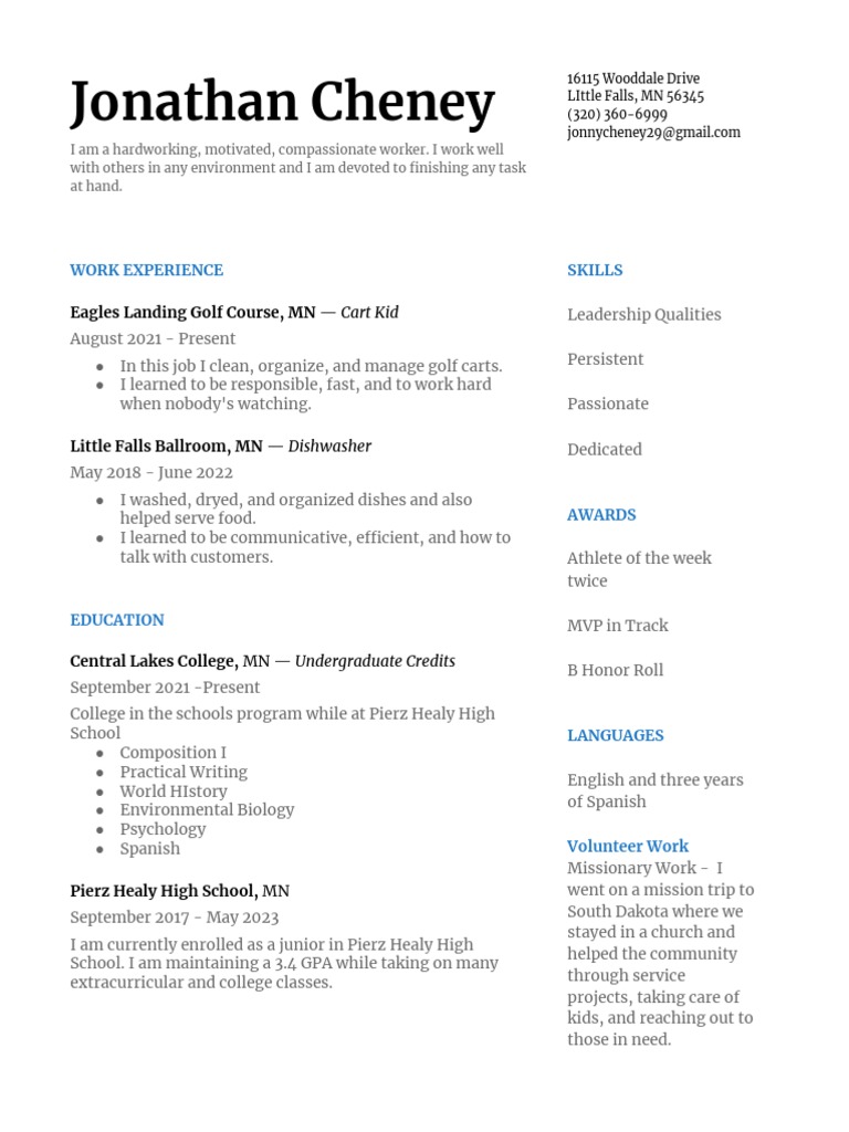 Jonathan Cheney: Work Experience Skills | PDF