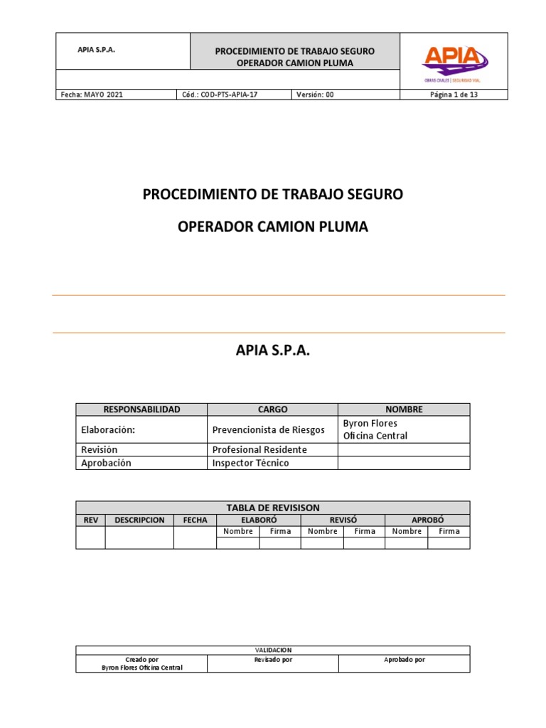 Cod-Pts-Apia-17 - Operador Camion Pluma | PDF