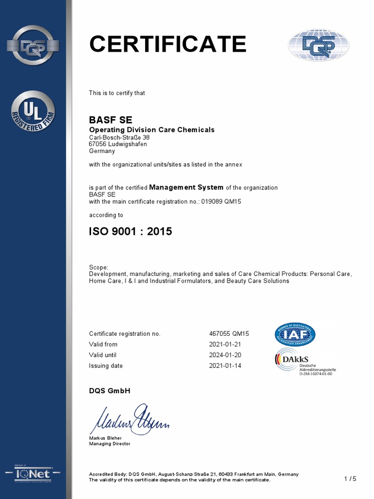 Care Chemicals - ISO 9001 (Global) | PDF | Iso 9000 | Chemistry