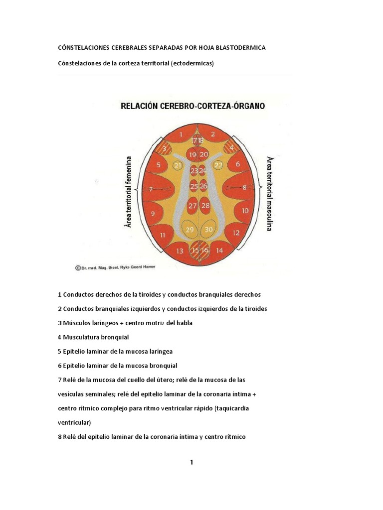 Las Hojas Embrionales y Sus Constelaciones Esquizofrenicas | PDF ...