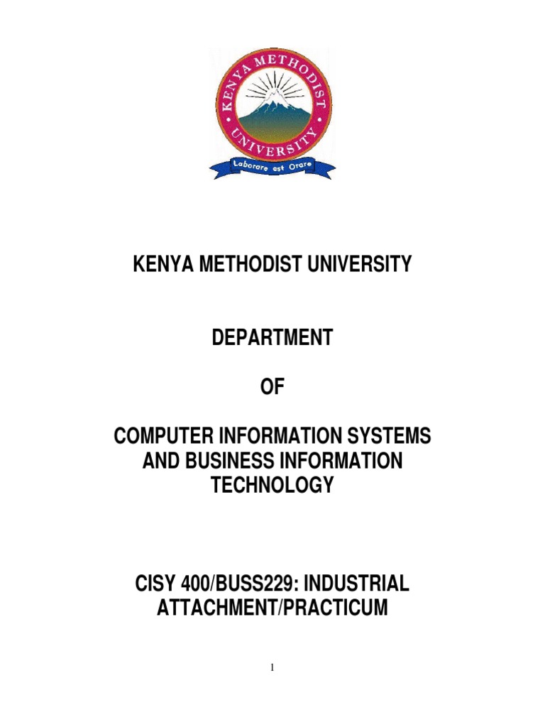 Guidelines On Internship-Practicum | PDF | Students | Learning