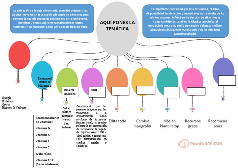Esquema Conceptual Jerarquico | PDF | Alimentos | Vitamina