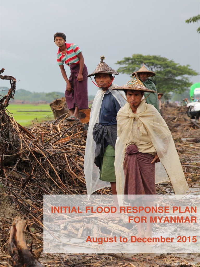 Core Doc Initial Flood Response Plan Aug-Dec 2015 | PDF | Wash | Food ...