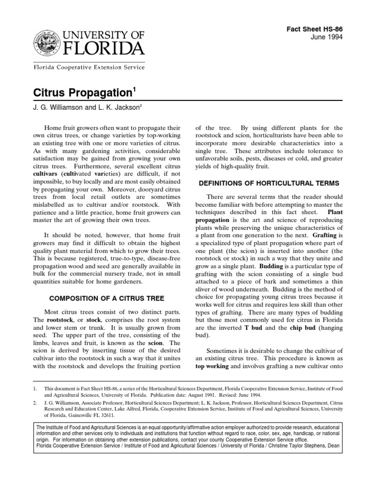 Citrus Propagation: Fact Sheet HS-86 | PDF | Grafting | Citrus