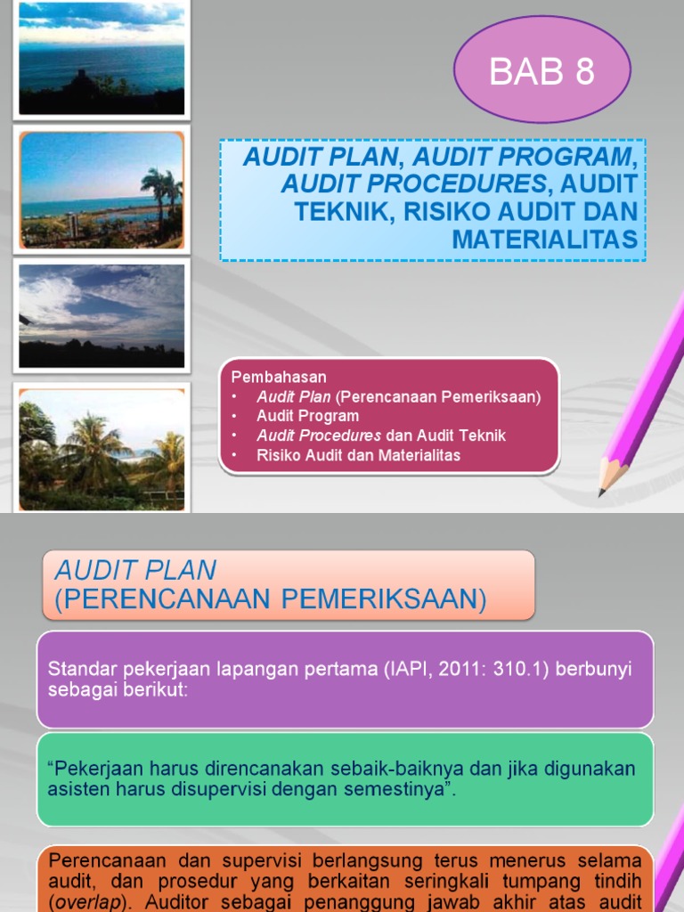 Audit Plan, Audit Program, Audit Procedures, Audit Teknik, Risiko Audit Dan Materialitas | PDF