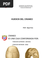 Foramen Ciego: Fosa Craneal Anterior | PDF | Sistema esquelético ...