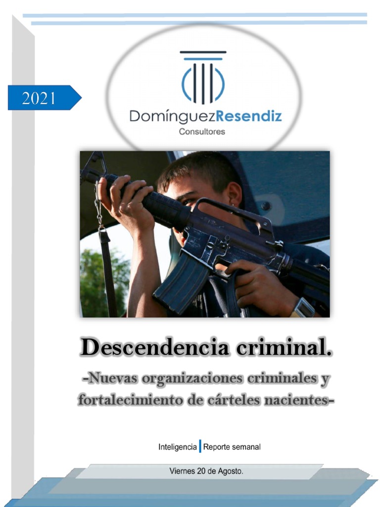 Nuevos Cárteles en México | PDF | Cartel de Sinaloa | Mala conducta