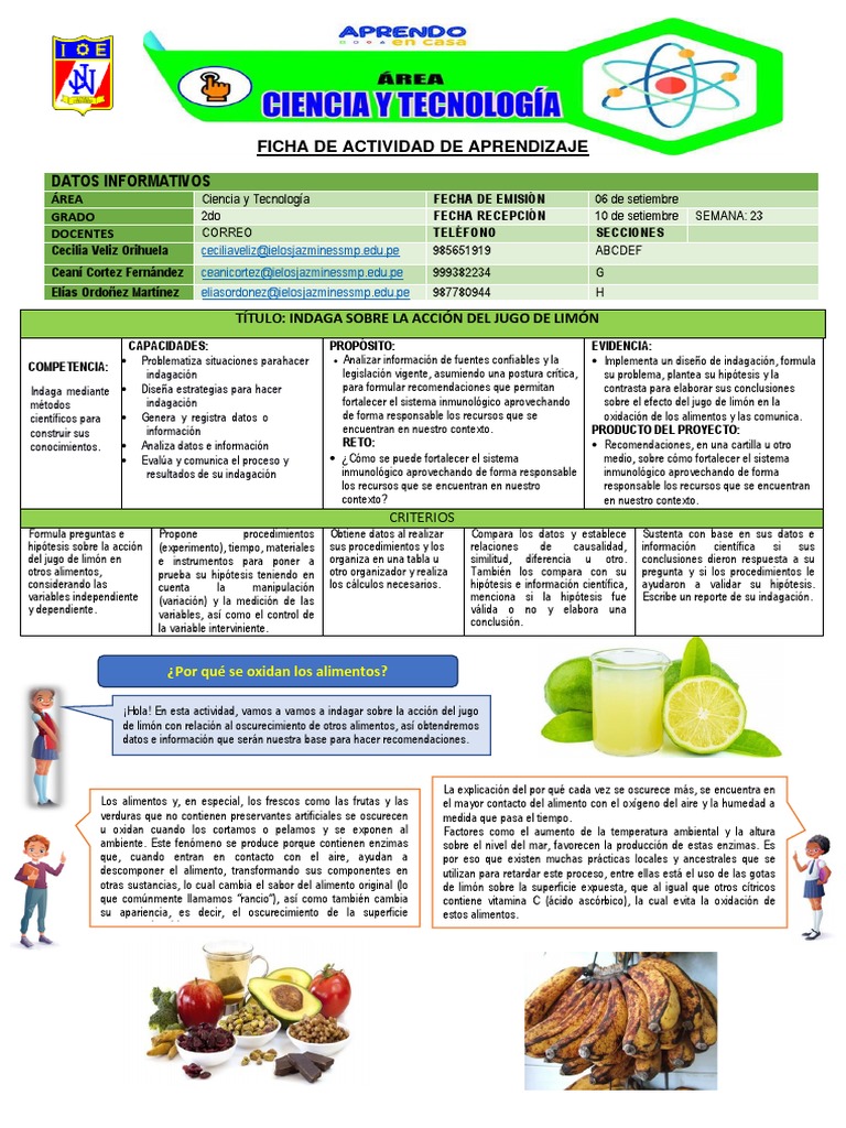FICHA DE ACTIVIDAD DE APRENDIZAJE Semana 23 Cyt 2do | PDF | Antioxidante | Química