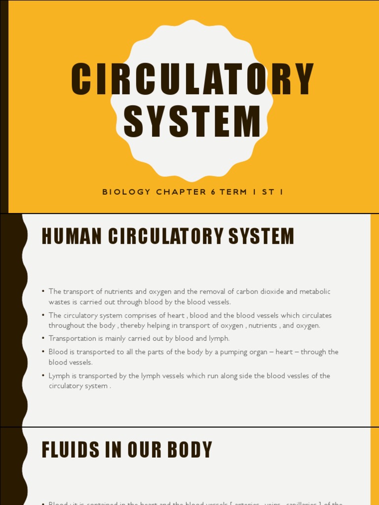 Circulatory System: Biology Chapter 6 Term 1 ST 1 | PDF | Circulatory ...