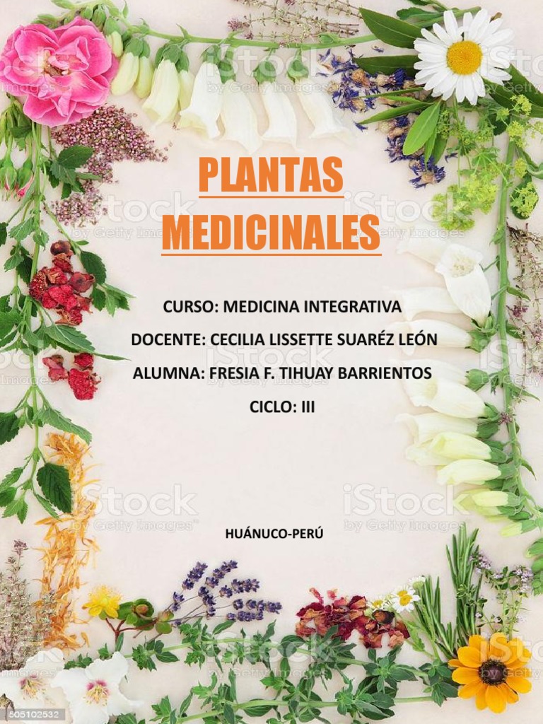 Herbario Pdf Hinojo Romero