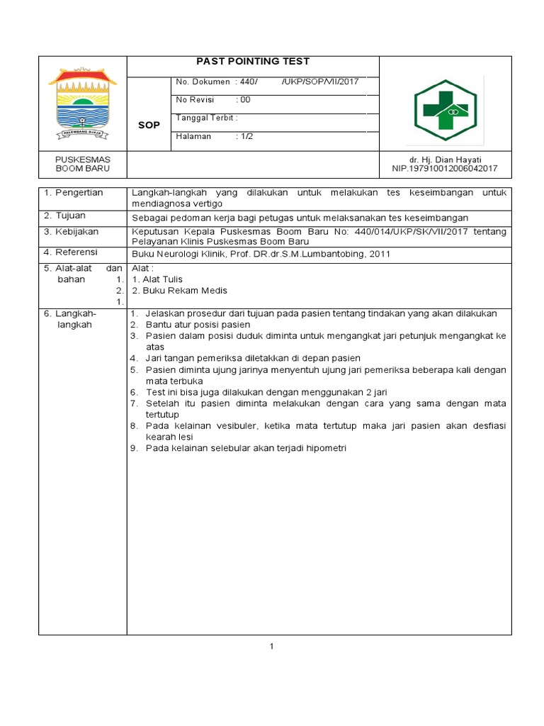 Past Pointing Test | PDF
