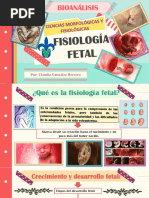 Flora Residente, Flora Transitoria, Transmisión Cruzada y Fómites | PDF ...