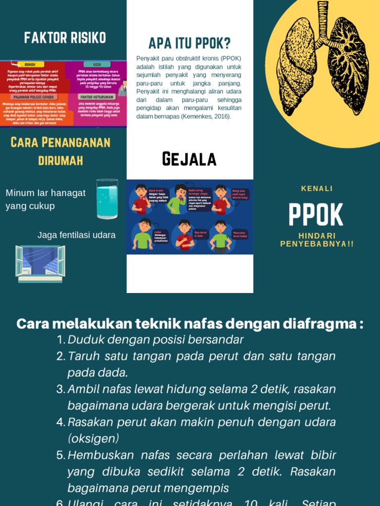 Leaflet PPOK NIlan | PDF