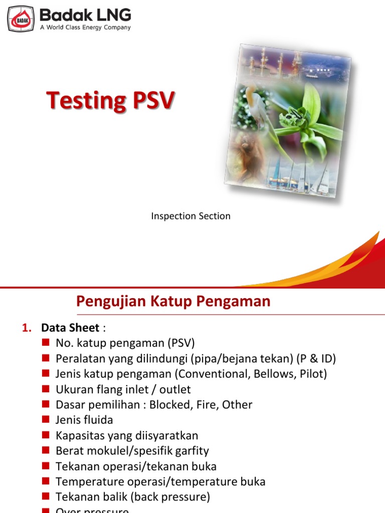 5a. PSV - Testing | PDF