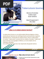 El Timo Animal | PDF