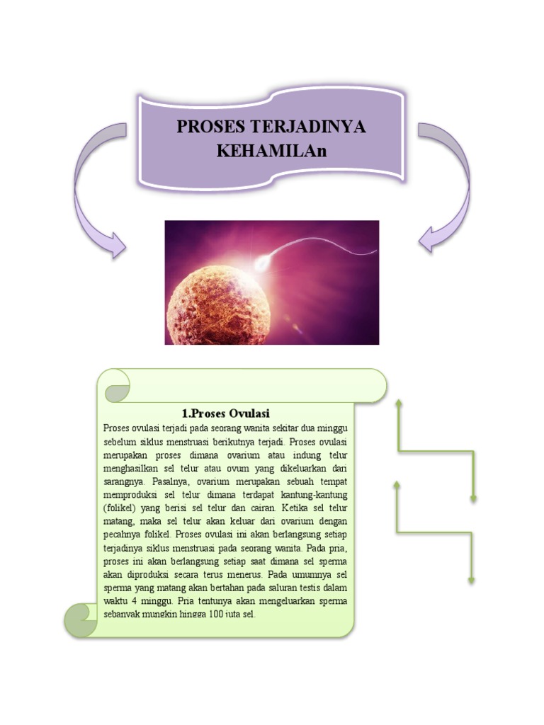 Proses Terjadinya Kehamilan Secara Singkat | PDF