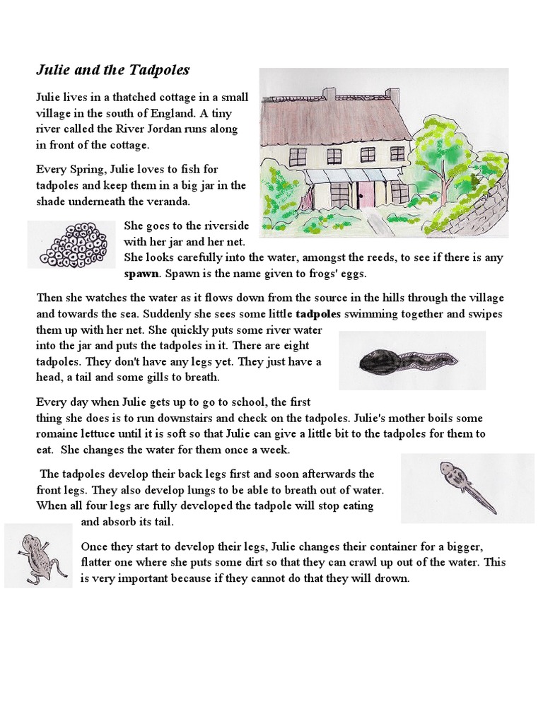 Julie and The Tadpoles Reading Comprehension Exercises - 99018 | PDF ...