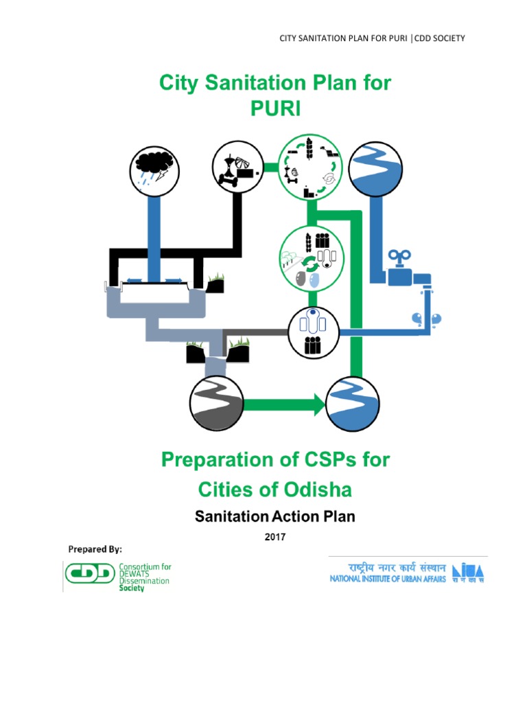 City Sanitation Plan | PDF | Sanitation | Sewage Treatment