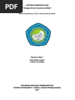 LP DSS Dengue Shock Syndrome Ruang Icu | PDF