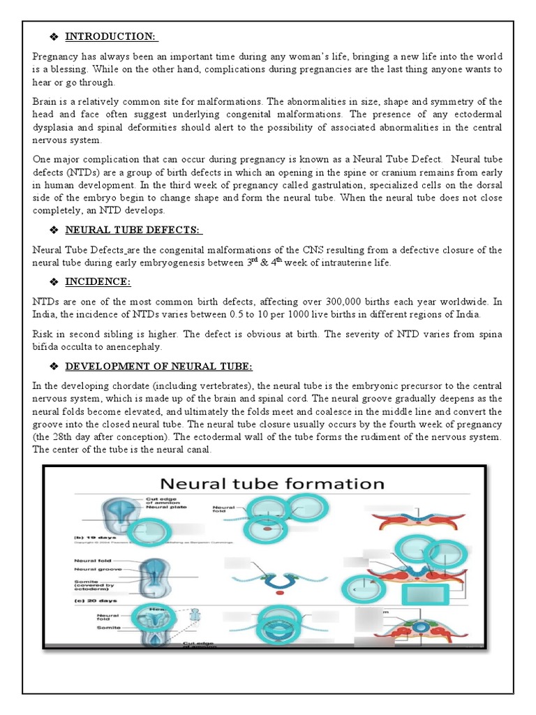 Neural Tube Defect | PDF | Cerebrospinal Fluid | Anatomy