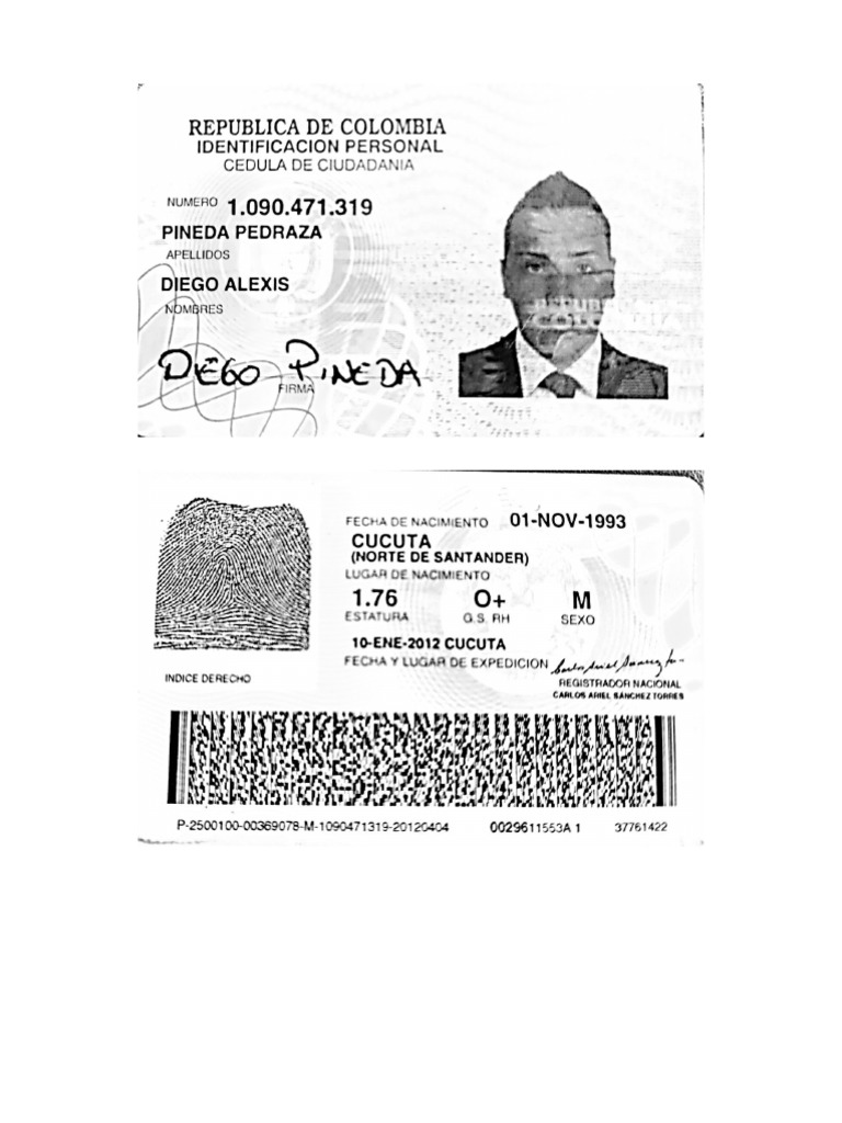 Diego Alexis Pineda Pedraza | PDF
