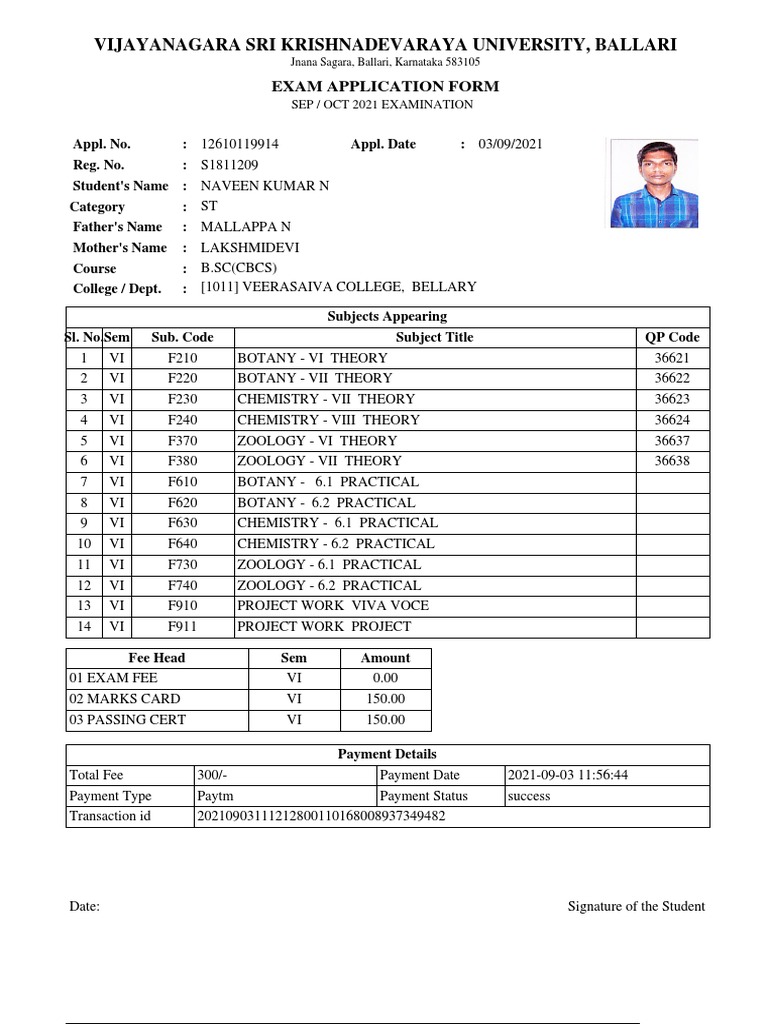 VSKU Ballari Exam Application Form | PDF | Financial Technology ...