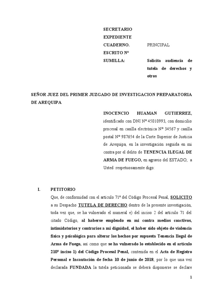 Solicitud de Tutela de Derechos en Arequipa | PDF