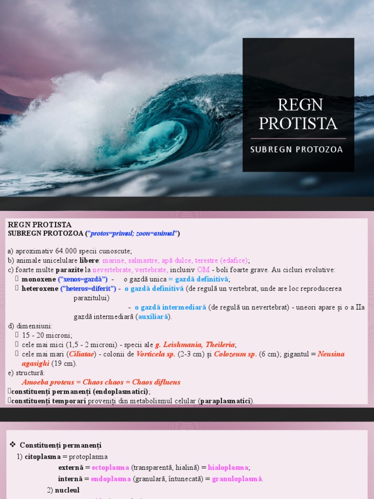 Protozoare Curs An I | PDF