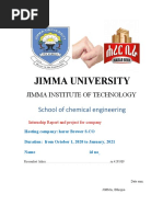 Dashen Beer | PDF | Brewing | Beer