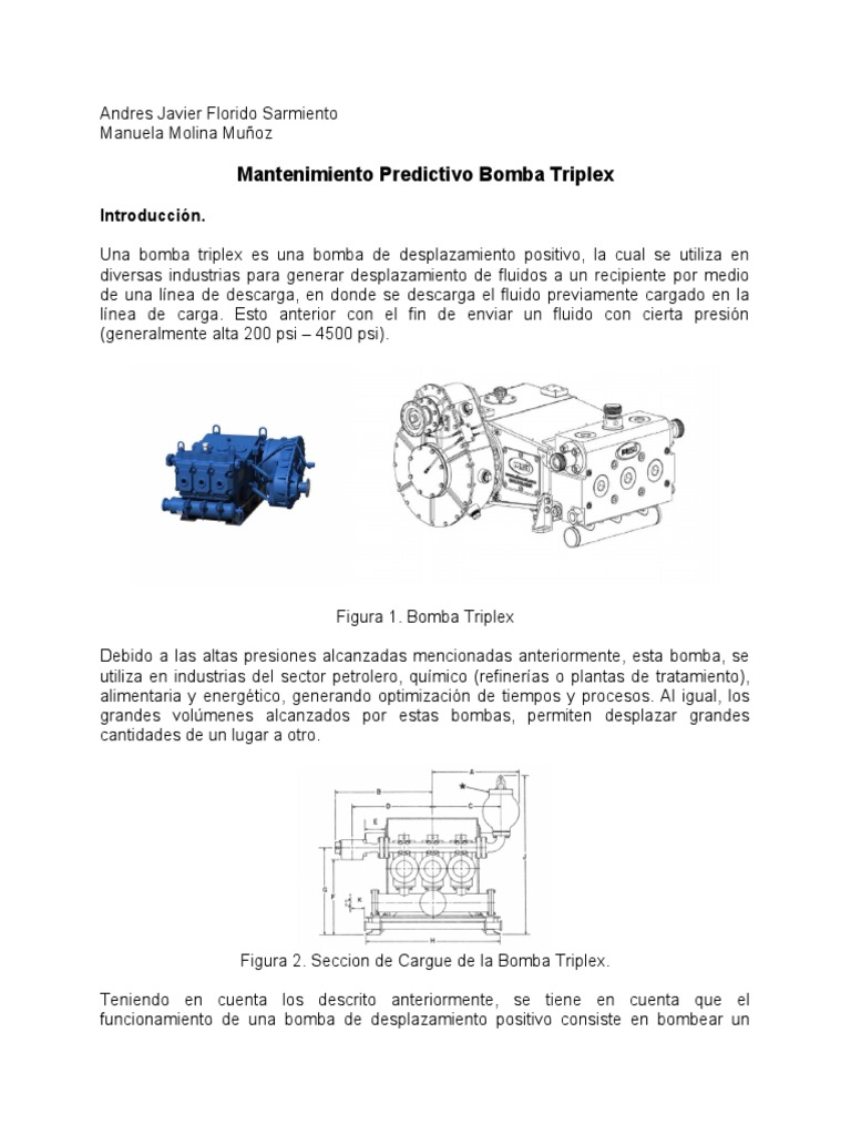 Mantemiento Bomba Triplex | PDF | Bomba | Pistón