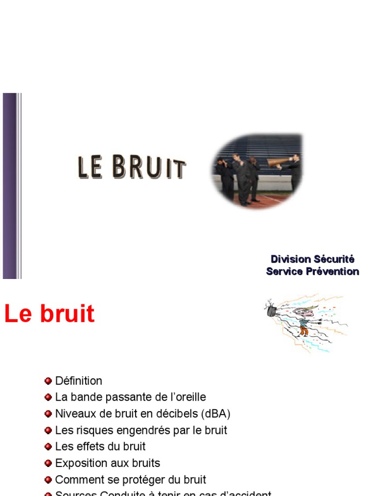 Module Sur Le Bruit | PDF | Bruit | Qualia