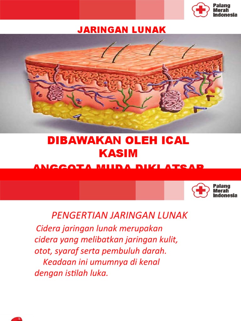 Jaringan Lunak (Ical Kasim) | PDF | Kesehatan Holistik | Sains & Matematika