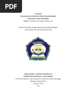 Contoh Laporan PKL Jurusan DKV | PDF