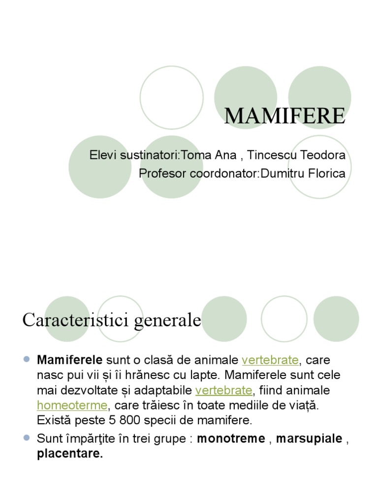 Mamifere | PDF