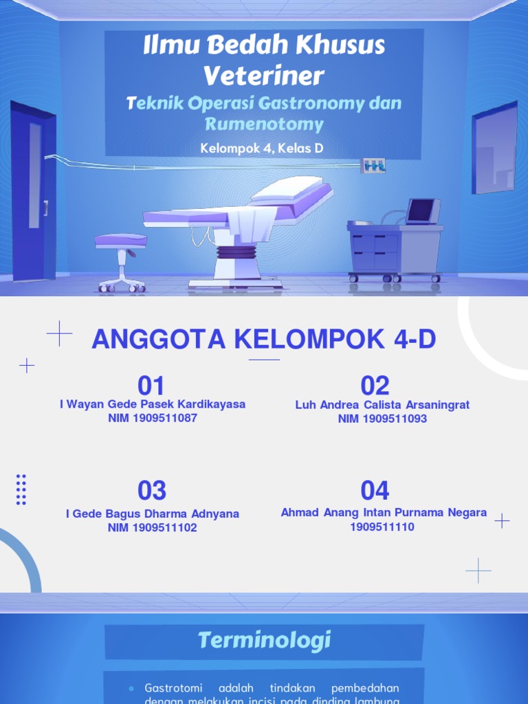 Teknik Gastrotomi dan Rumenotomi | PDF