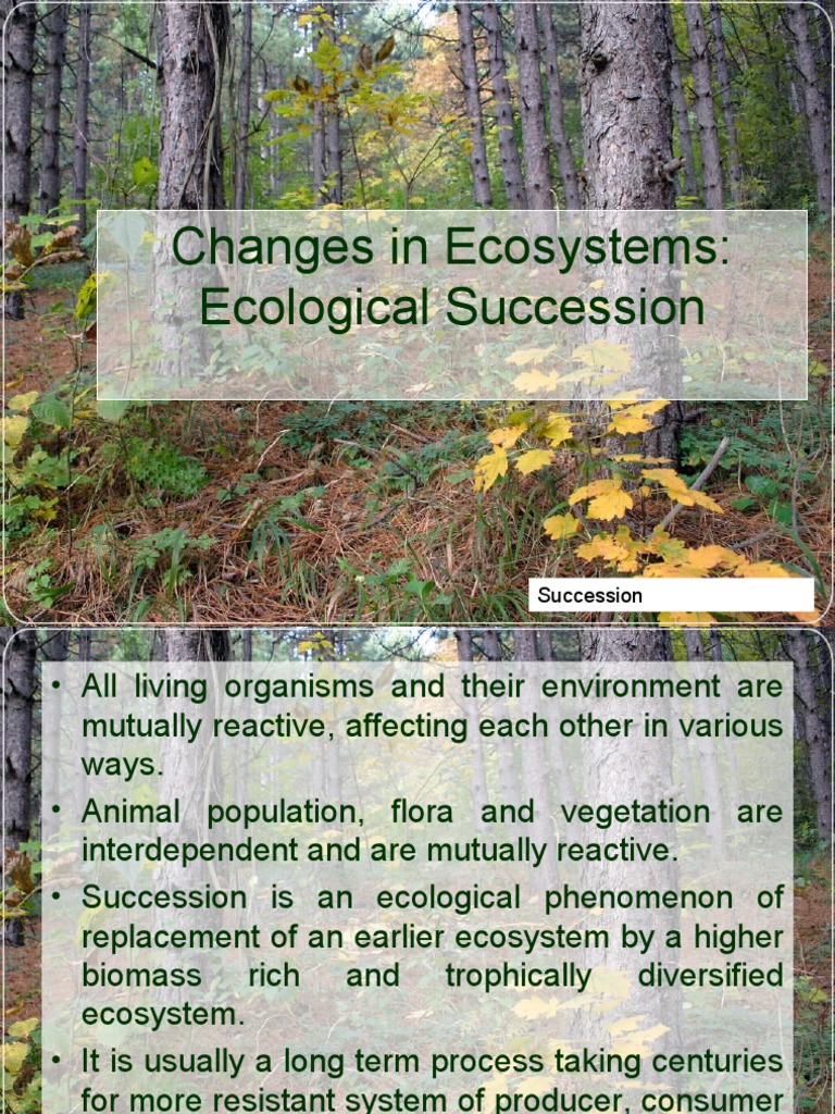 Understanding Ecological Succession | PDF | Ecosystem | Pond