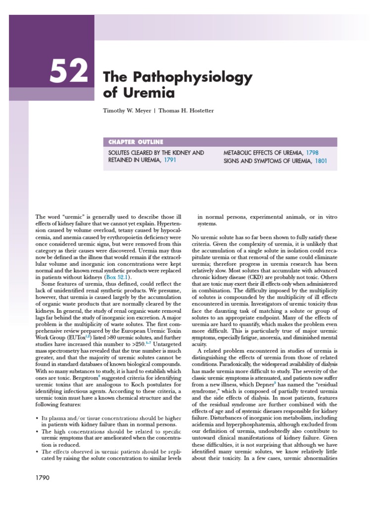 The Pathophysiology of Uremia: Timothy W. Meyer Thomas H. Hostetter | PDF | Creatinine | Kidney