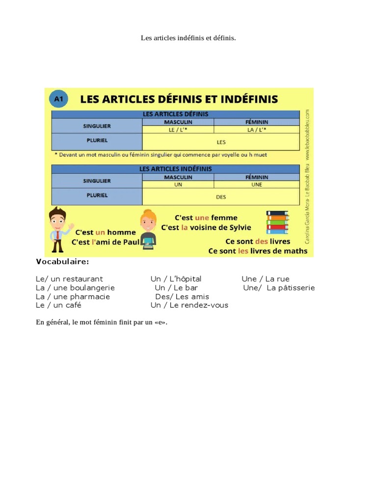 Les Articles Définis Et Indéfinis. | PDF