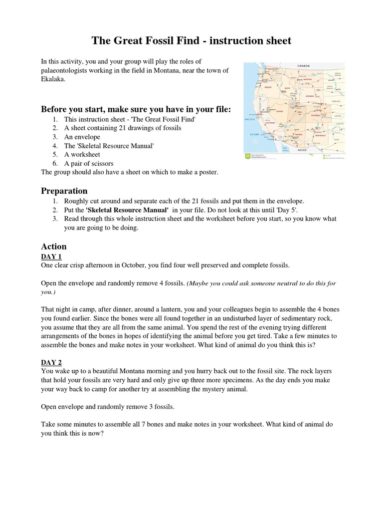 Great Fossil Find - Instructions | PDF