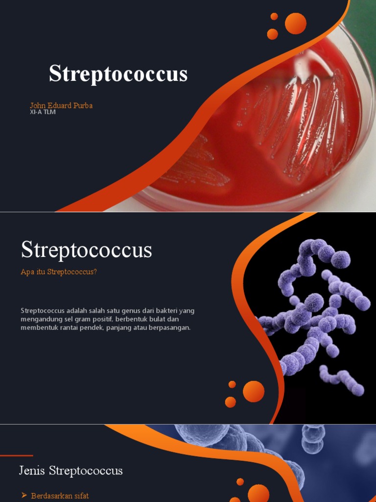 Jenis dan Peran Streptococcus | PDF | Kesehatan Holistik | Sains & Matematika