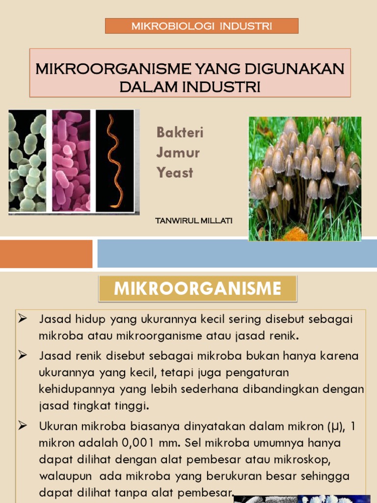 Mikroorganisme Dalam Industri | PDF | Griya & Taman | Kesehatan Holistik