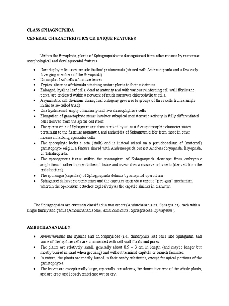 Class Sphagnopsida General Characteristics or Unique Features | PDF ...