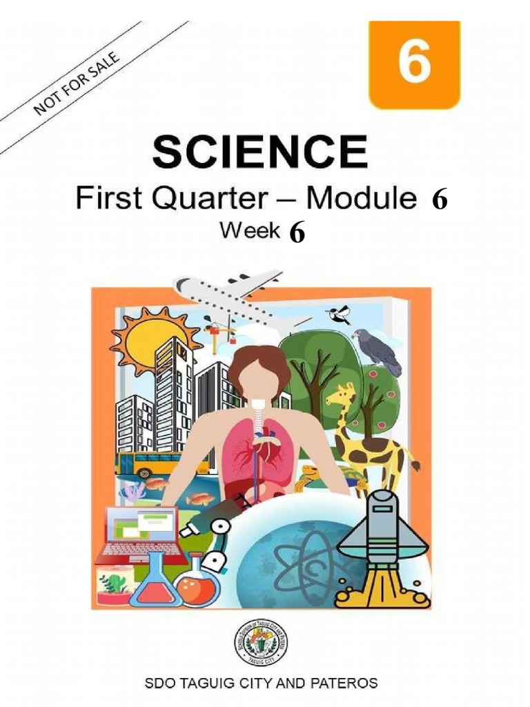 First Quarter Module 6: Week 6 | PDF | Filtration | Mixture