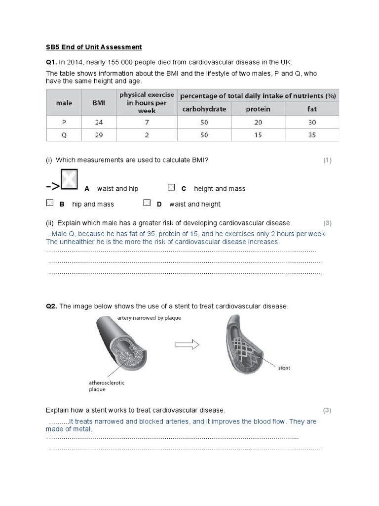 SB5 Assessment Word | PDF | Antibody | Monoclonal Antibody