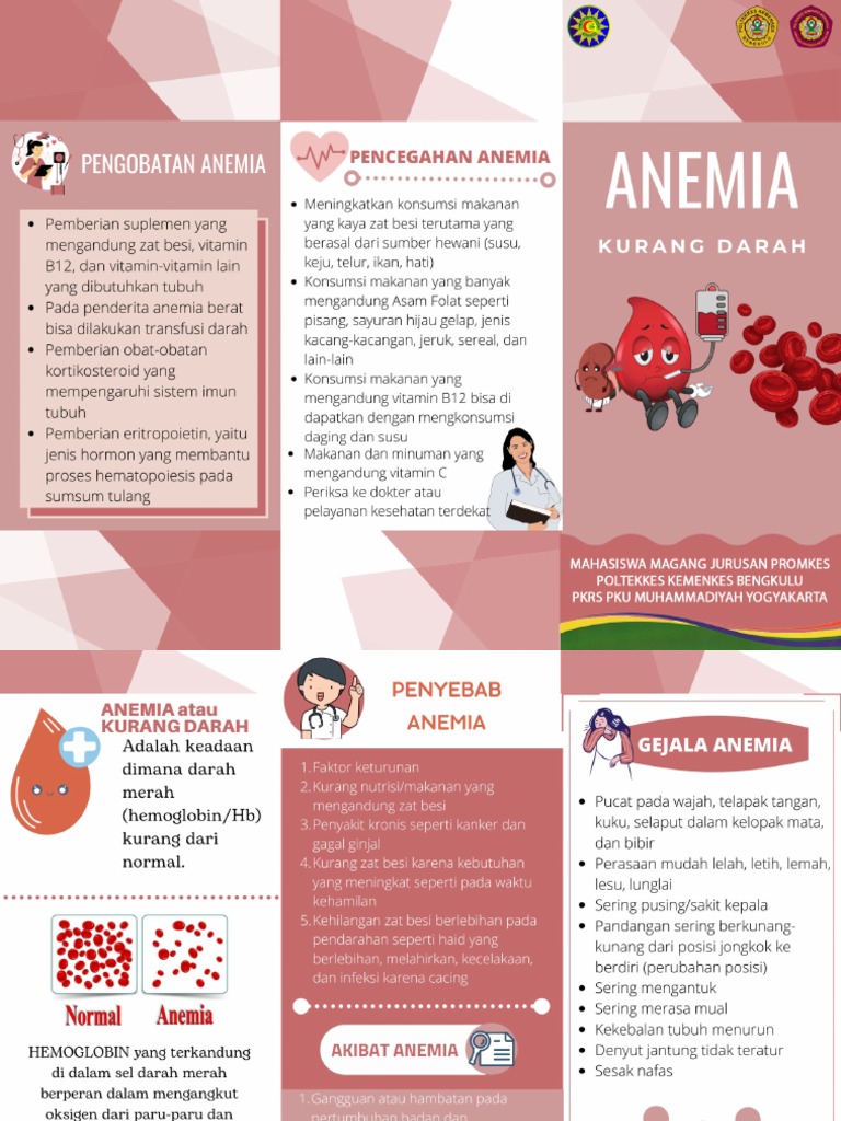 Leaflet Anemia | PDF