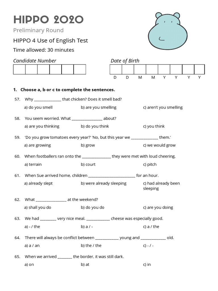Preliminary Round HIPPO 2020 Use of English Test | PDF