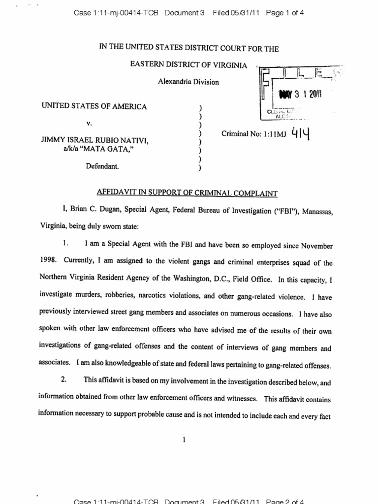 Jimmy Rubio Nativi Affidavit | PDF | Ms 13 | Special Agent