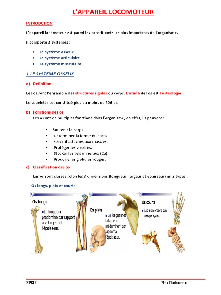 Cours Appareil Locomoteur | PDF