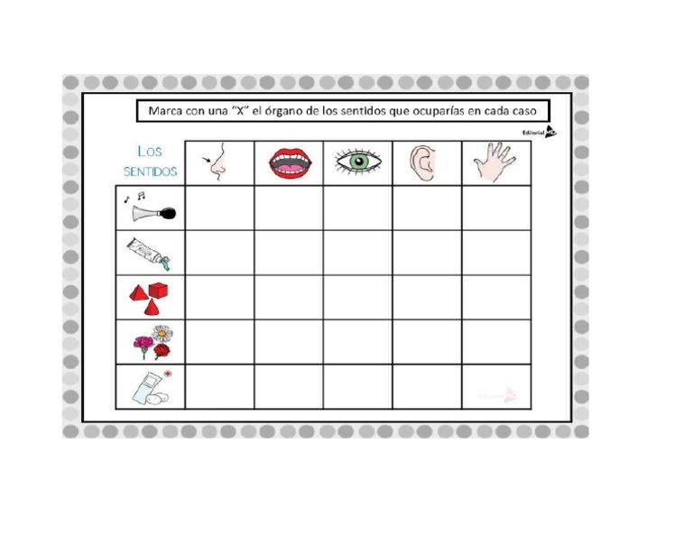 Guia Los Sentidos | PDF